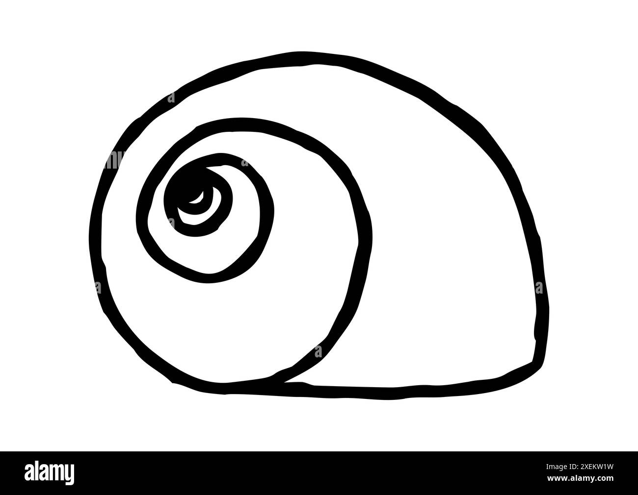 Nautilus shell in sea Stock Vector Images - Alamy
