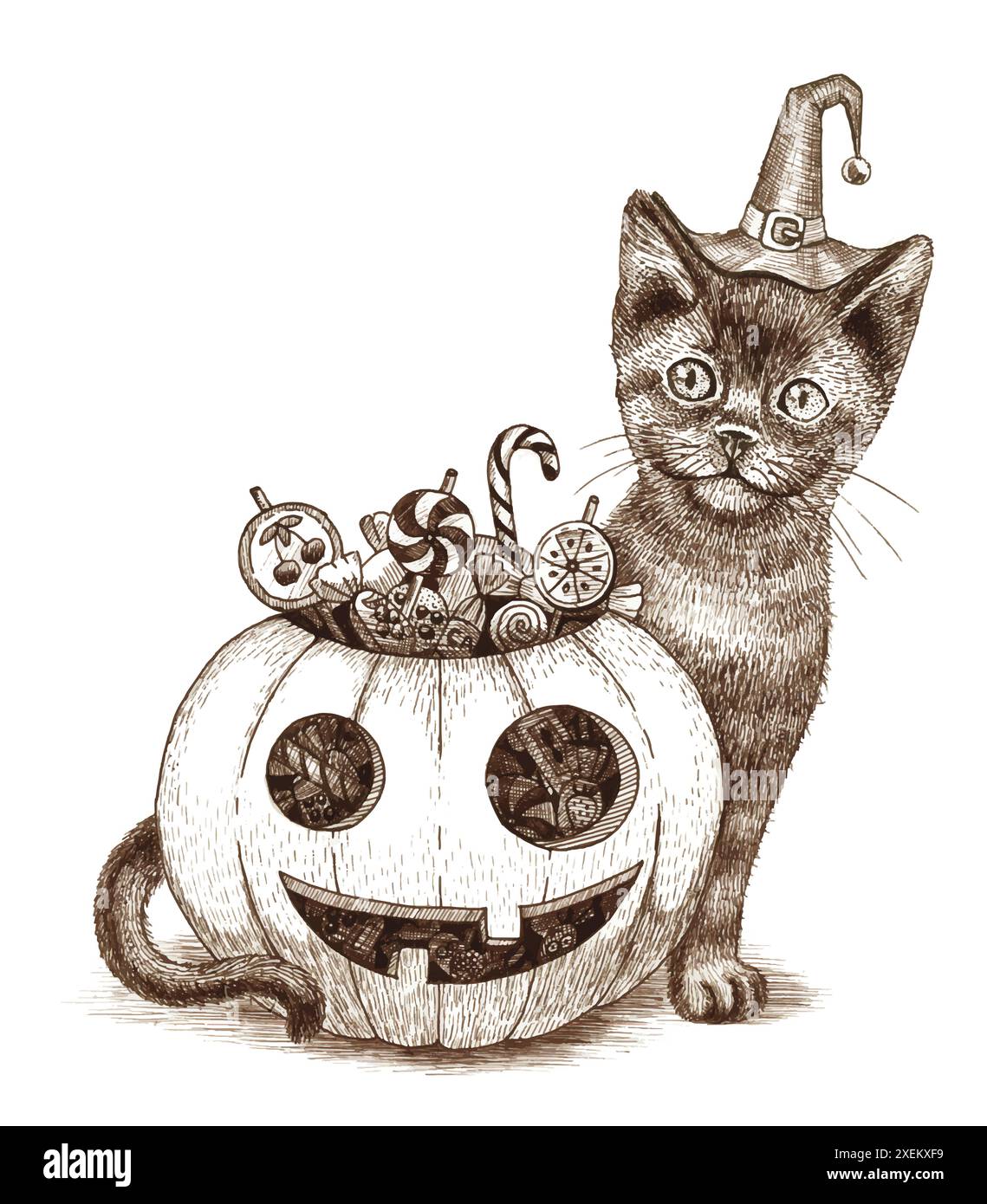 Halloween. Kitten with pumpkin and candies Stock Vector Image & Art - Alamy