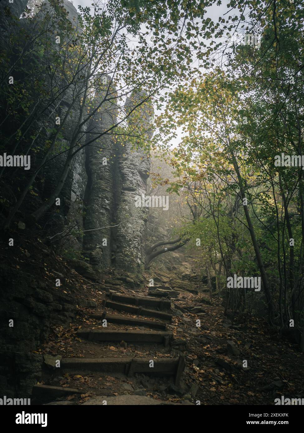 Creepy camping hi-res stock photography and images - Alamy