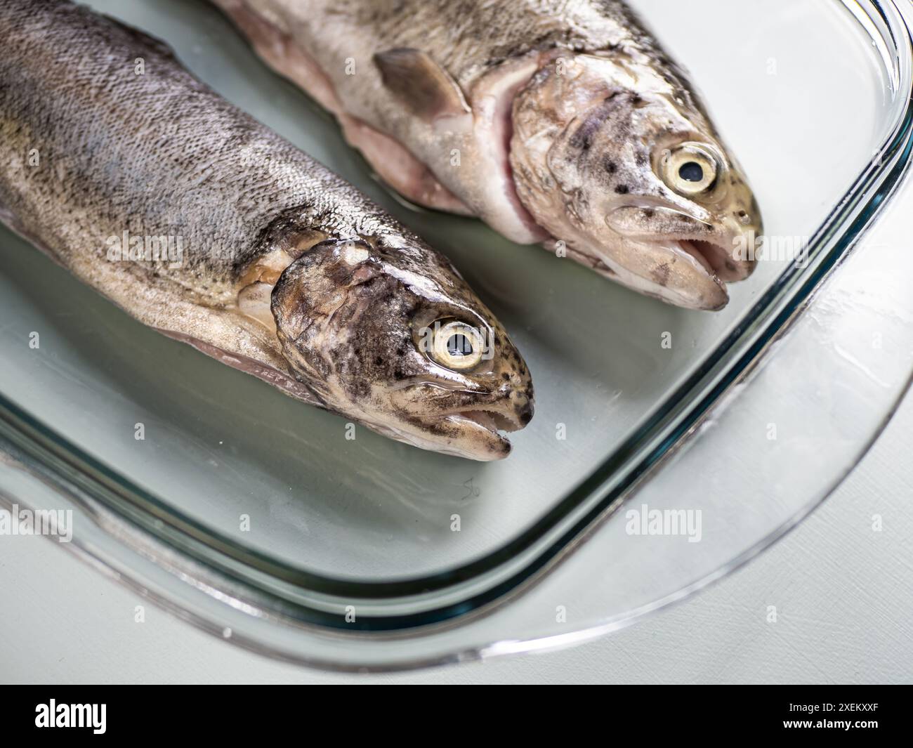Two fresh whole salmons in a glass baking pan dish, food preparation ...