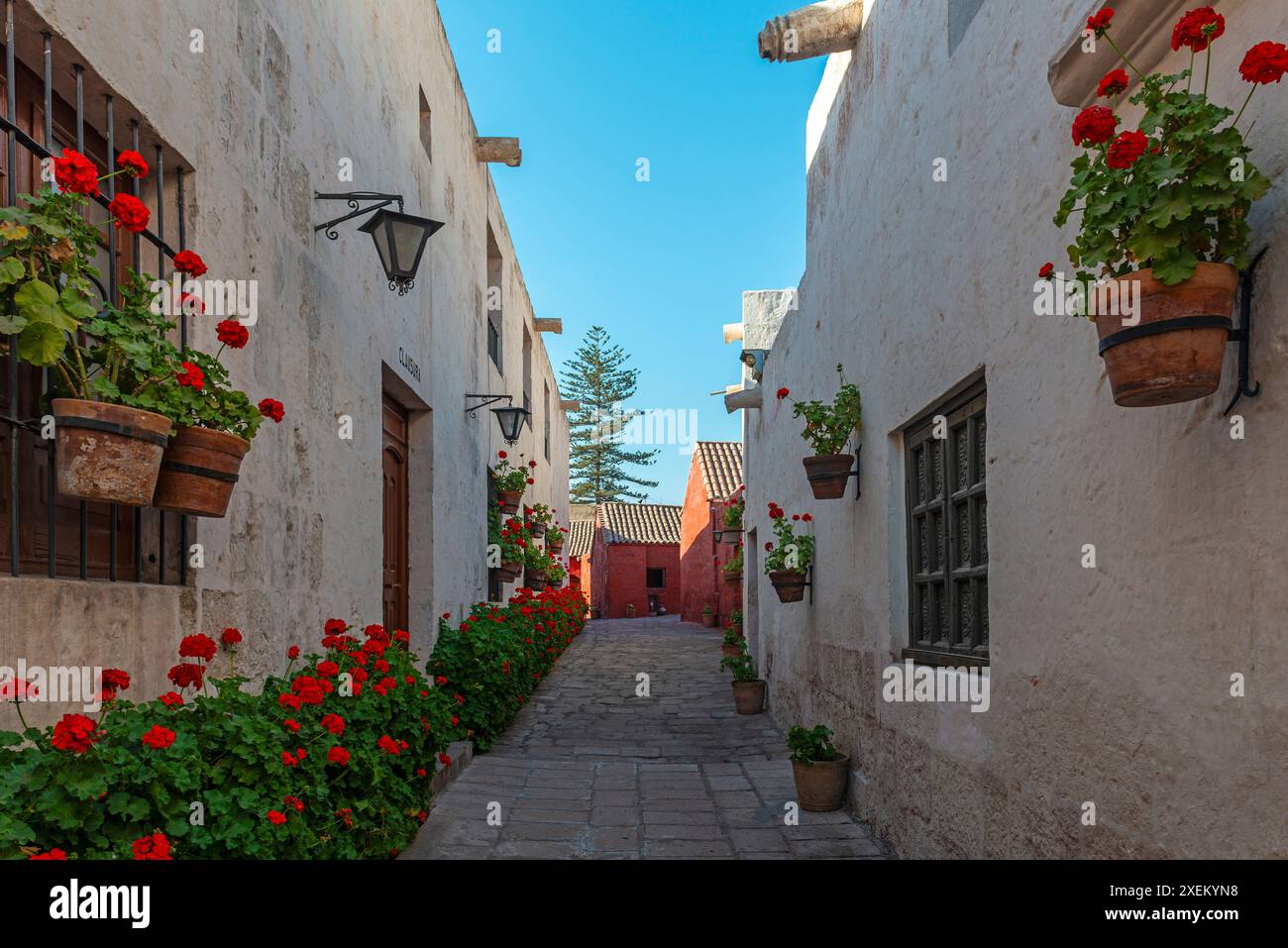Santa Catalina convent street, Arequipa, Peru Stock Photo - Alamy