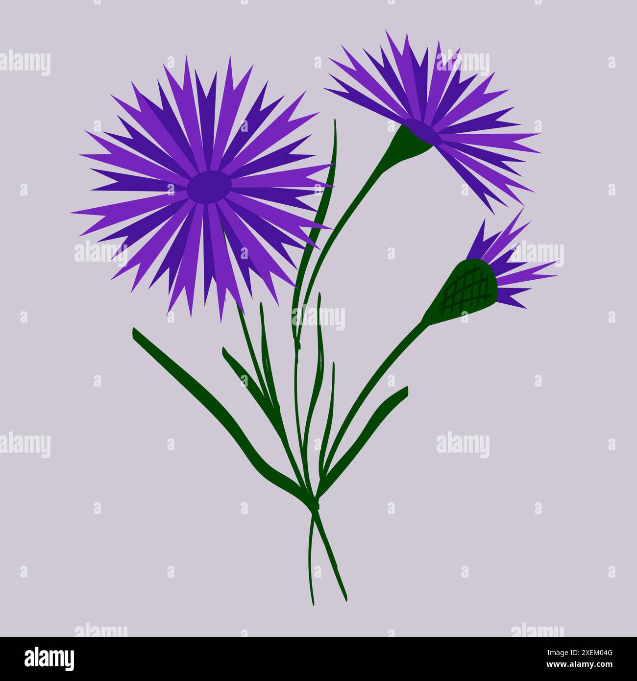 Bouquet of blue field cornflowers. Beautiful flower with buds. Vector ...
