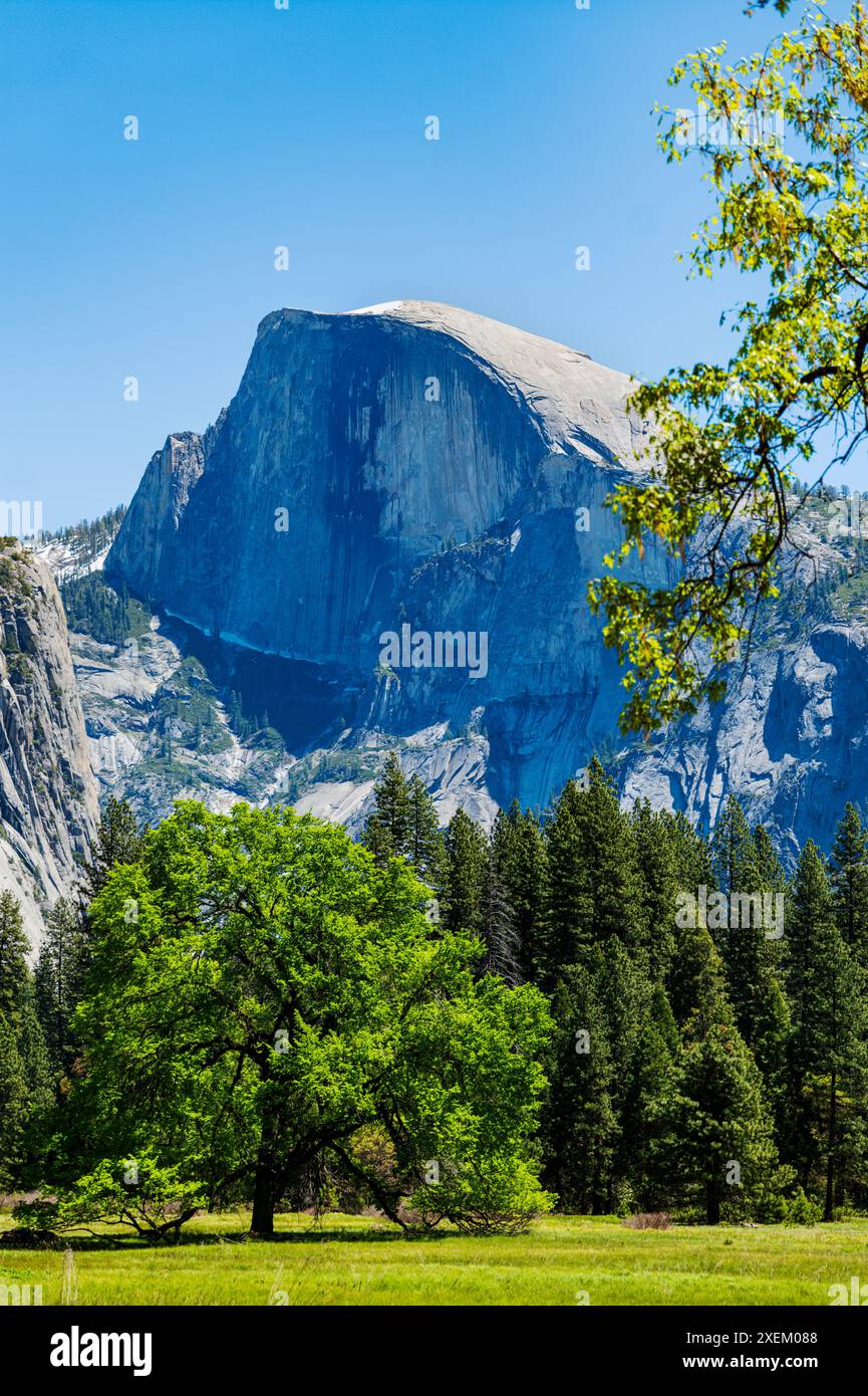 Half Dome viewed from Cook's Meadow; Yosemite National Park; California ...