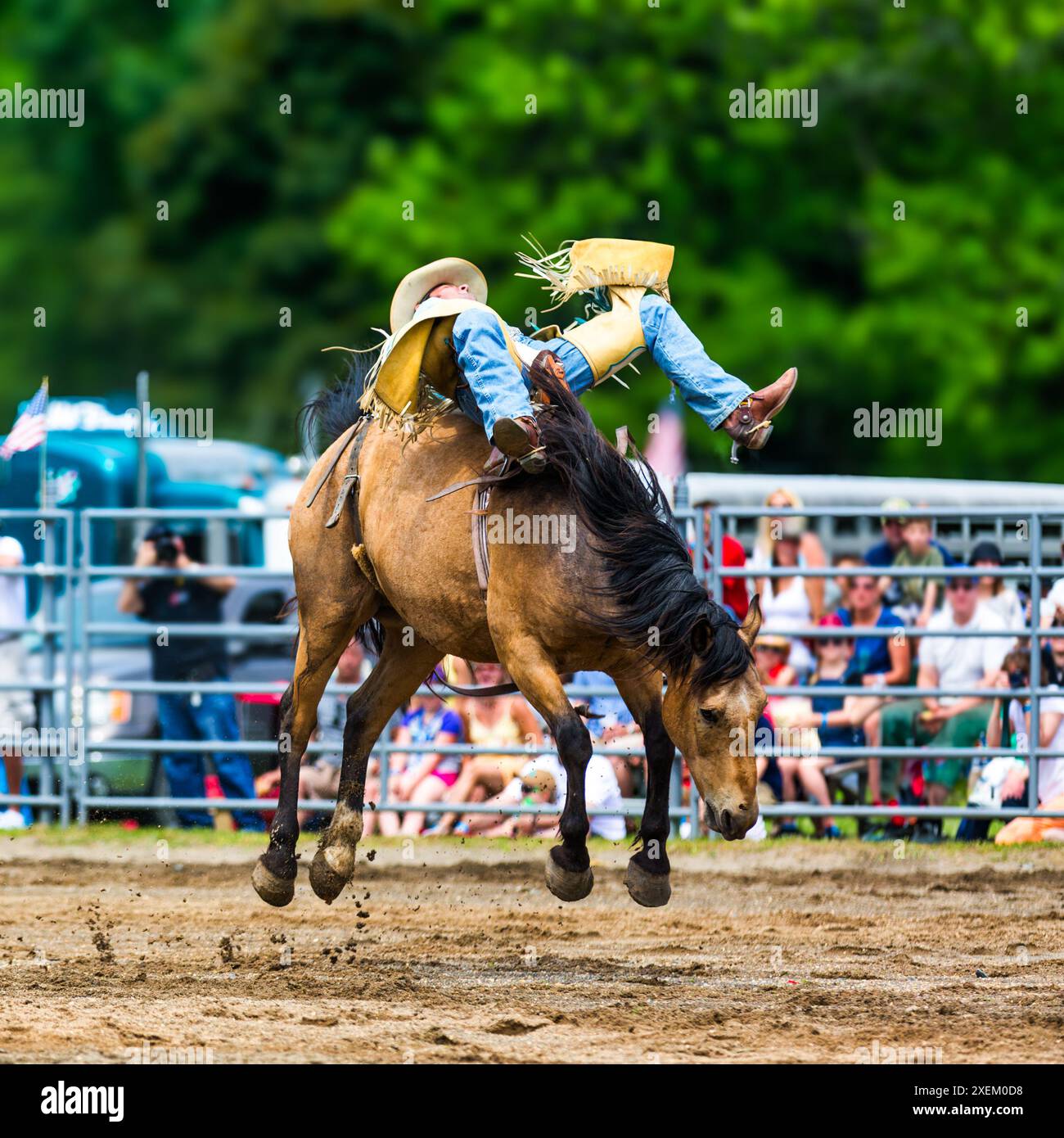 Man riding horse bareback in hi-res stock photography and images - Alamy