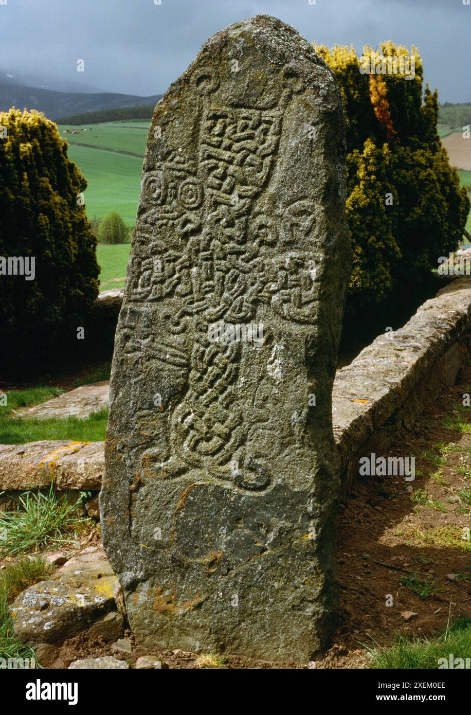 Pictish stone horse hi-res stock photography and images - Alamy