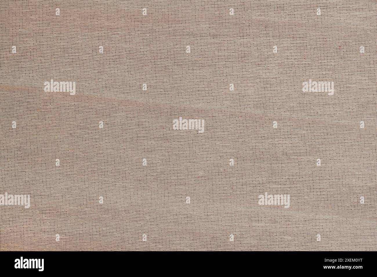 Scaly pattern hi-res stock photography and images - Alamy