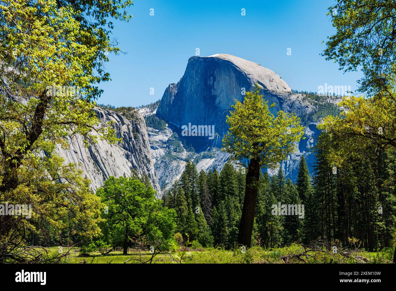 Half Dome viewed from Cook's Meadow; Yosemite National Park; California ...