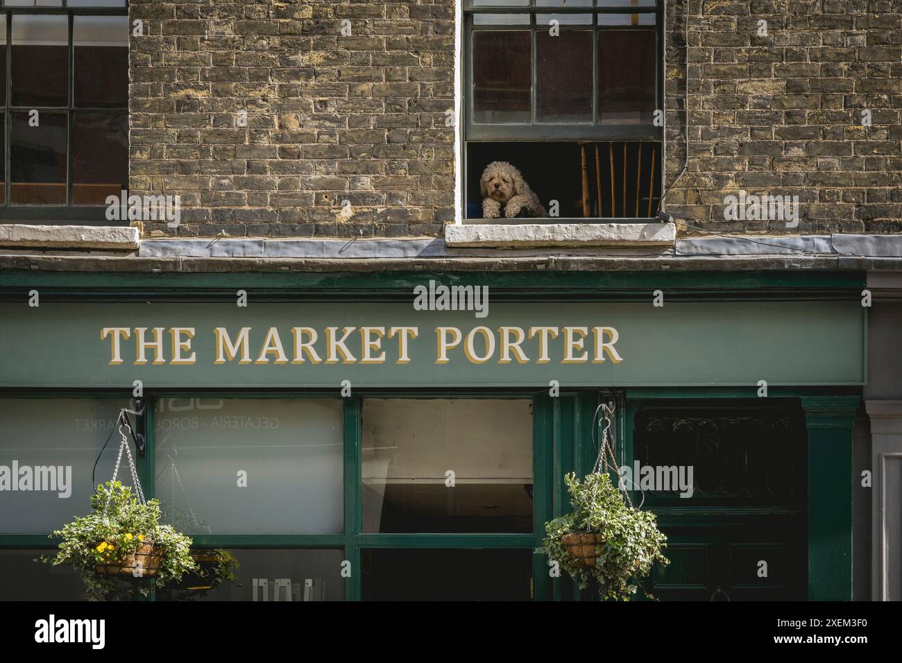 Dog looks out the window above a shop in Borough Market, London Bridge ...