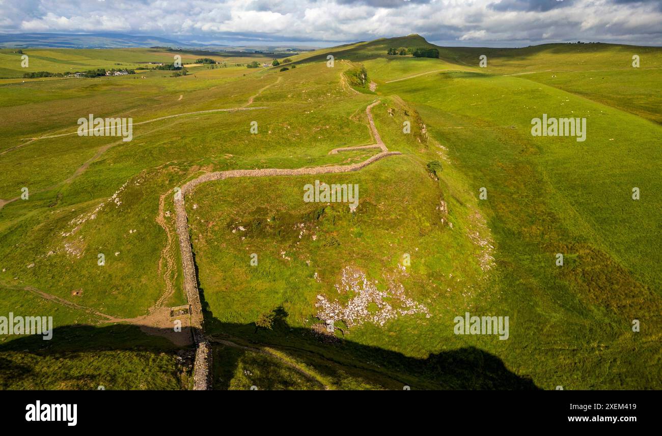 Aerial view of Sycamore gap taken after the tree was cut down in an act ...