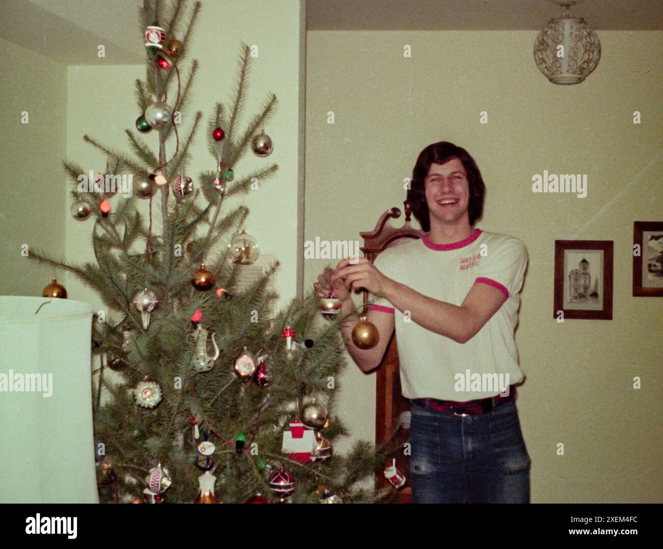 Teenage son helps decorate the family Christmas tree in a suburban home ...