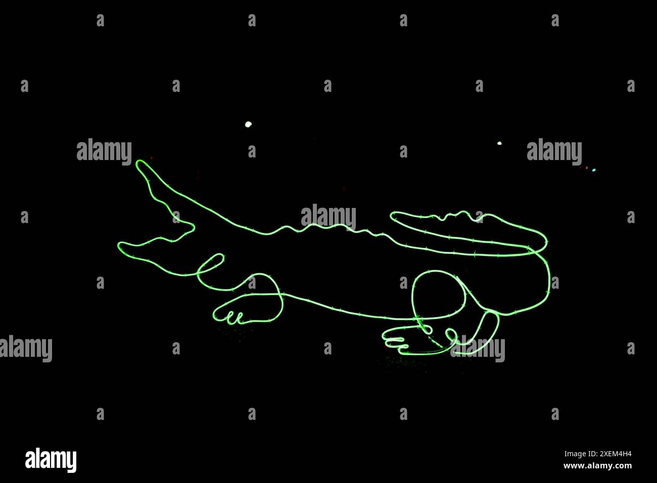Neon crocodile illuminated in green light in a Bangkok park; Bangkok ...