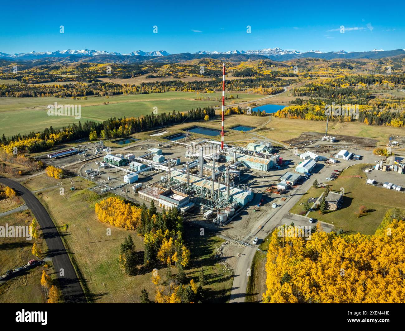 Range of plant structures hi-res stock photography and images - Alamy