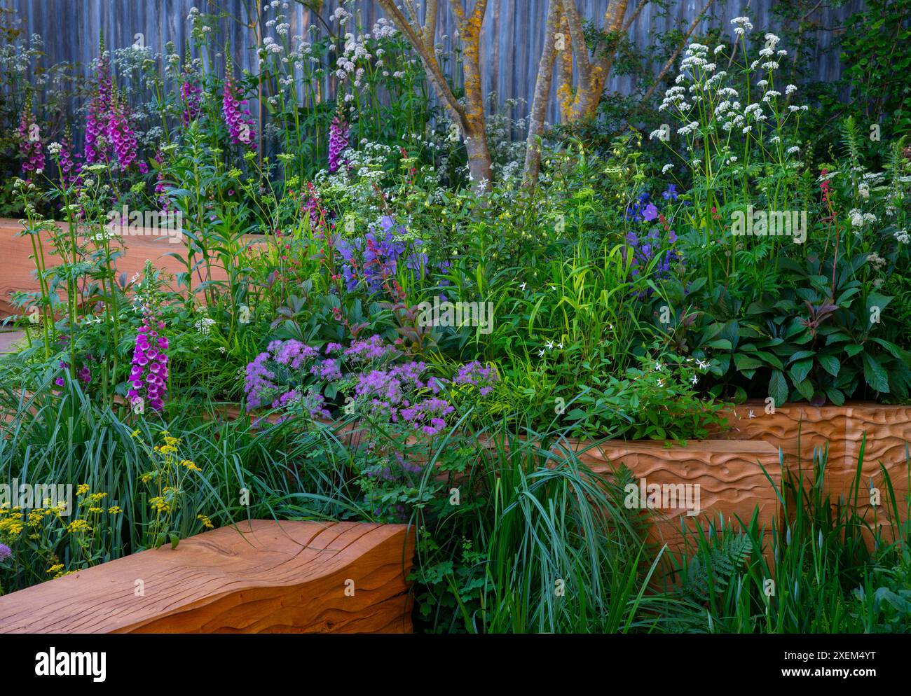Carved oak benches surrounded by herbaceous planting including ...