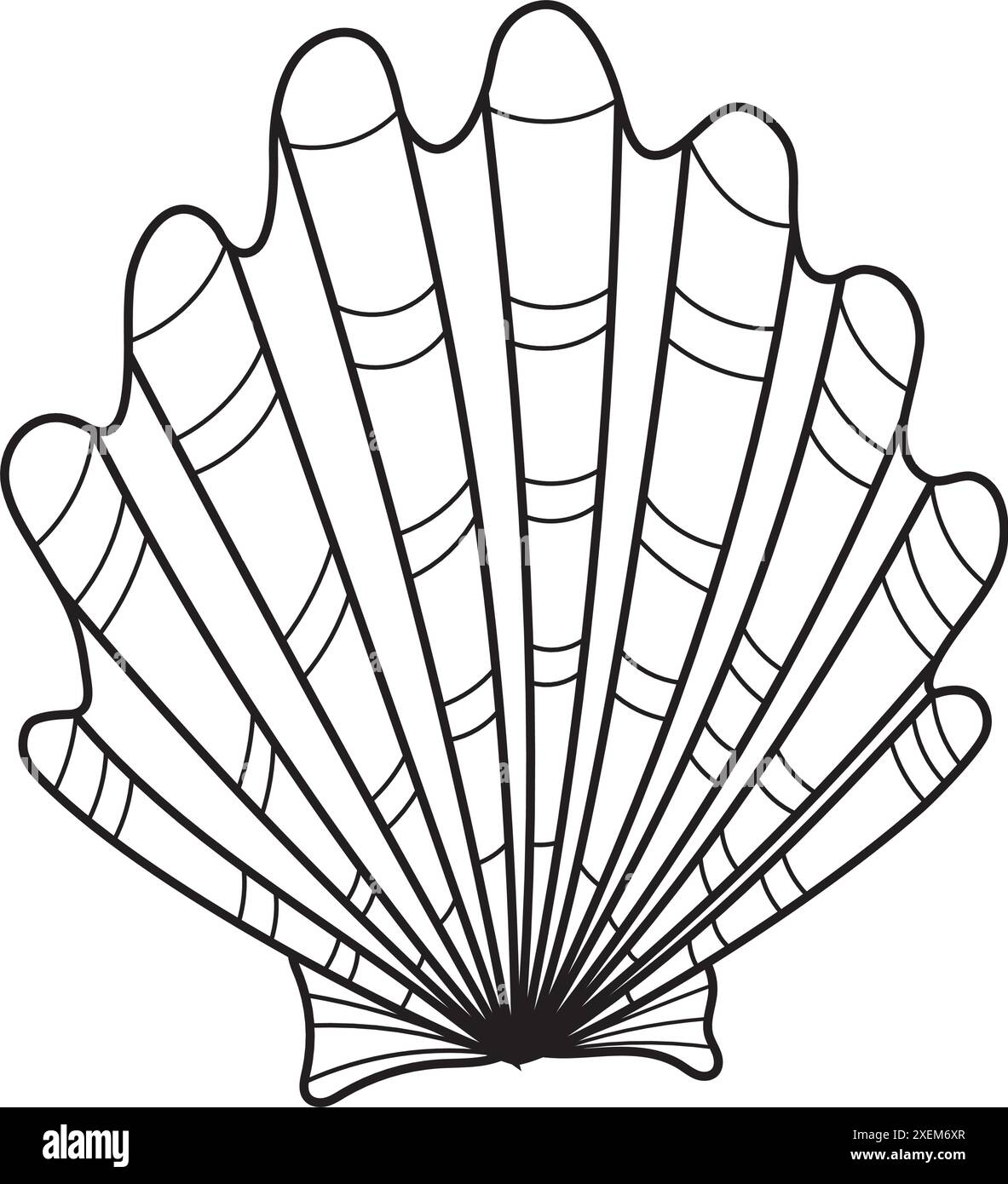 Seashell Vector illustration. Hand drawn linear sketch of sea Shell ...