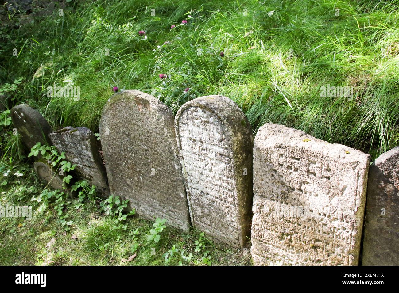 Jewish Cemetery in Jewish Quarter, Trebic, Czech Republic Stock Photo ...