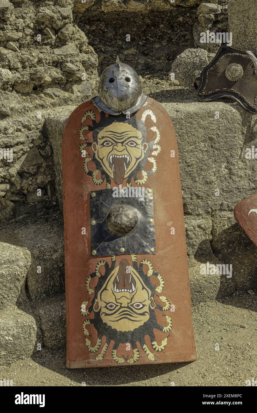 Roman gladiator shield hi-res stock photography and images - Alamy