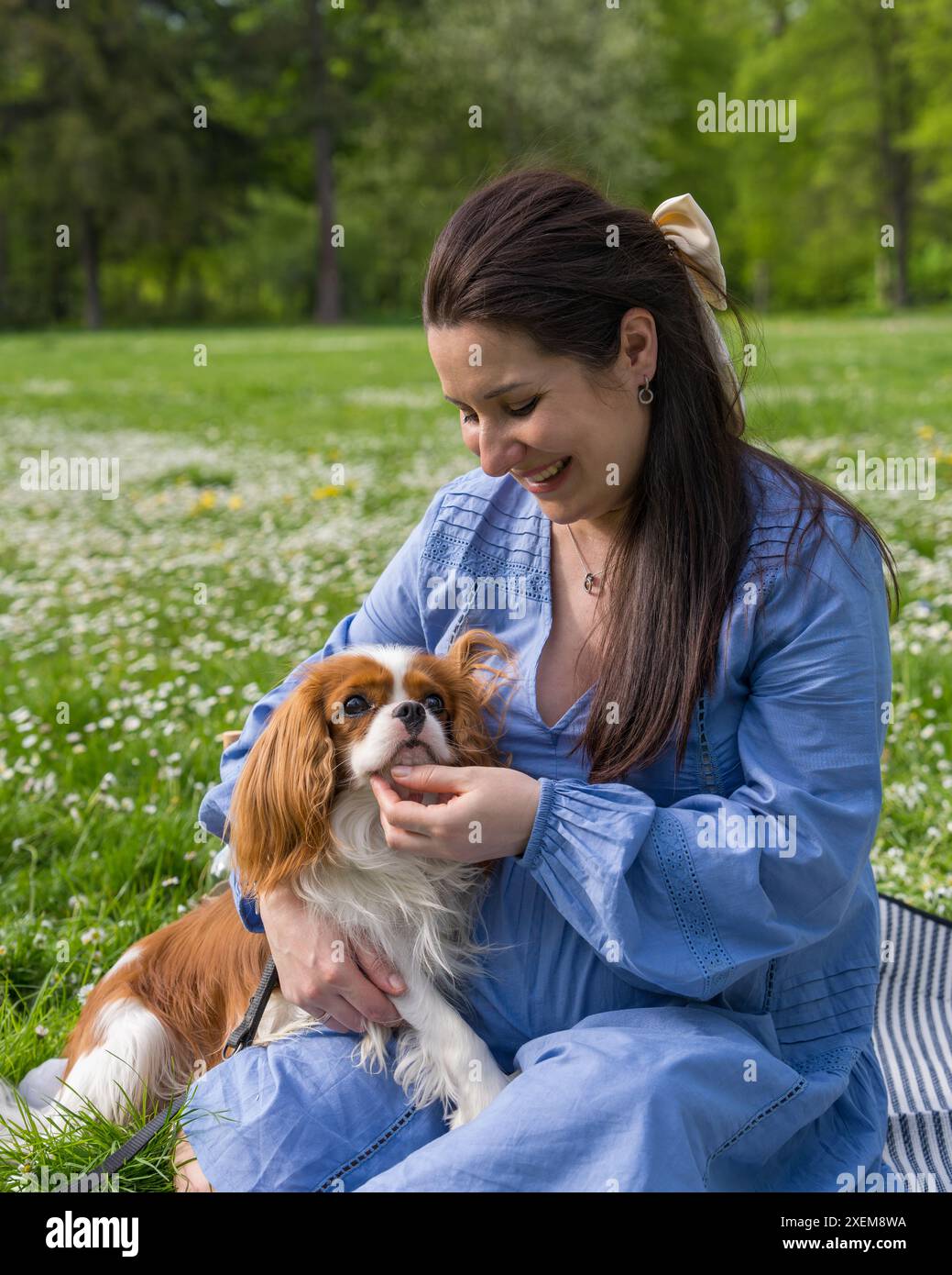 A pregnant woman in a city park sits on the grass holding a cute cocker ...