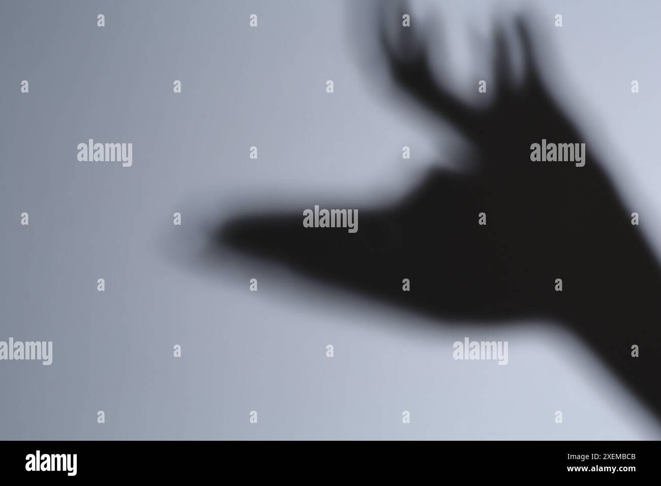 Shadow of hands like deer on grey background. Space for text Stock ...