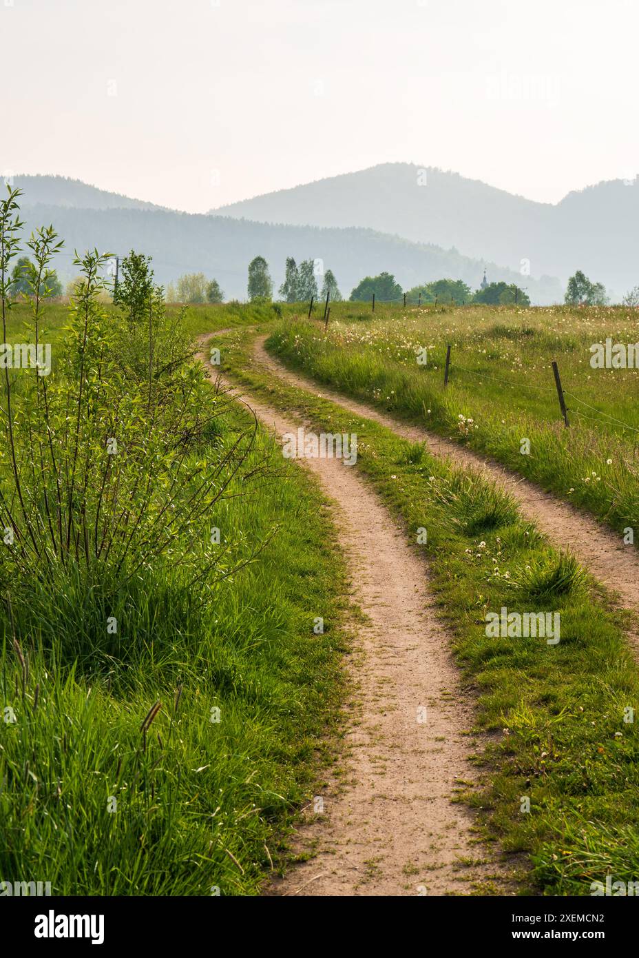 Beautiful landscape of nature. Rural road, fields with green, lush ...