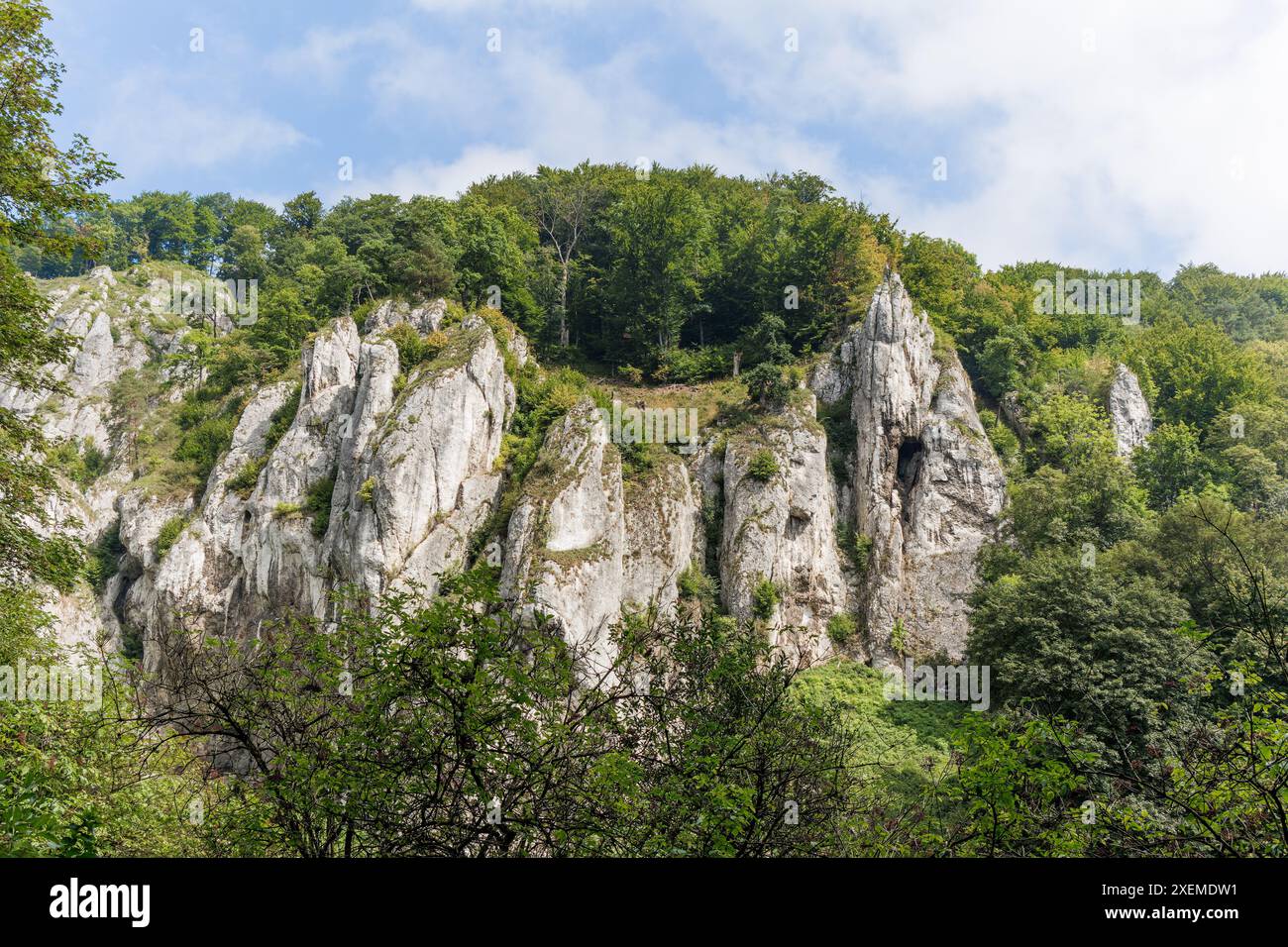 Unusually shaped rocks in a national park, all in greenery Stock Photo ...