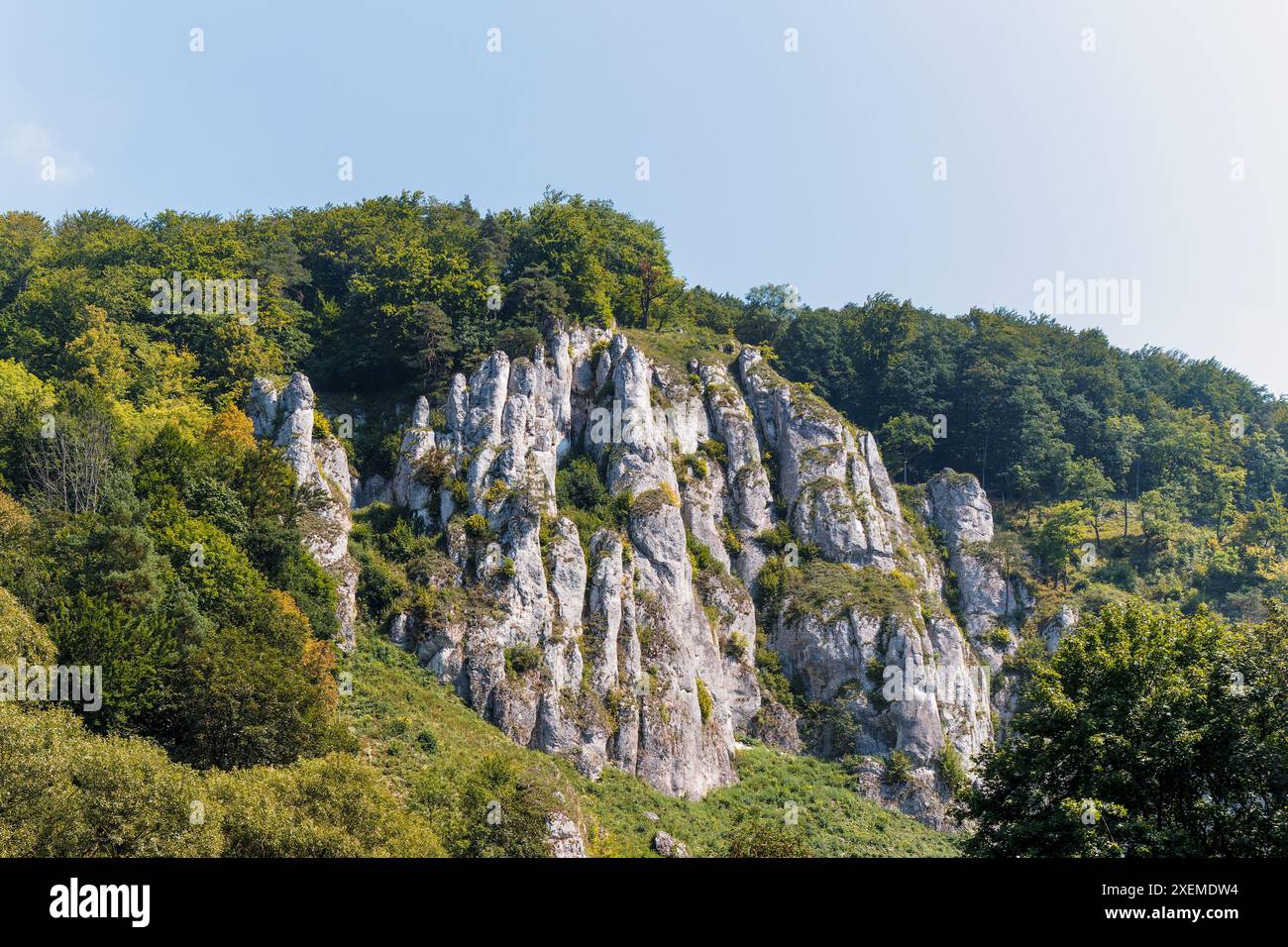 Unusually shaped rocks in a national park, all in greenery Stock Photo ...