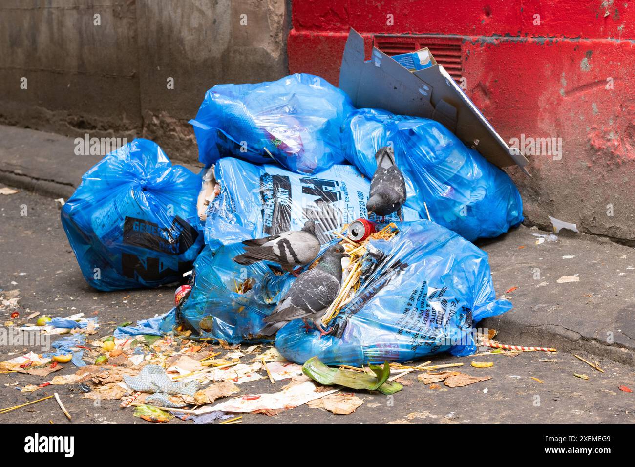 Food waste in glasgow street hi-res stock photography and images - Alamy