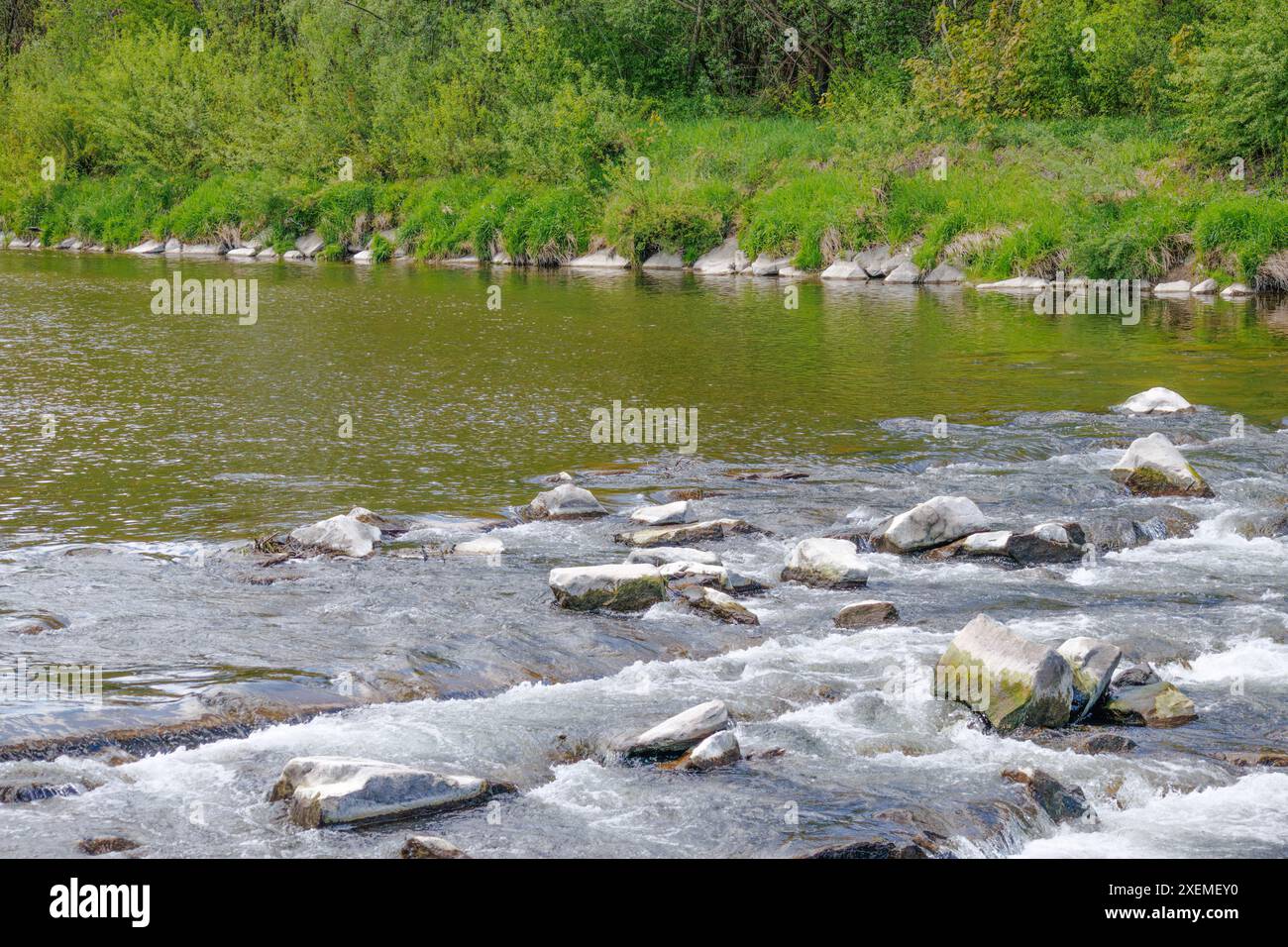 Beautiful wilderness river clean water hi-res stock photography and ...