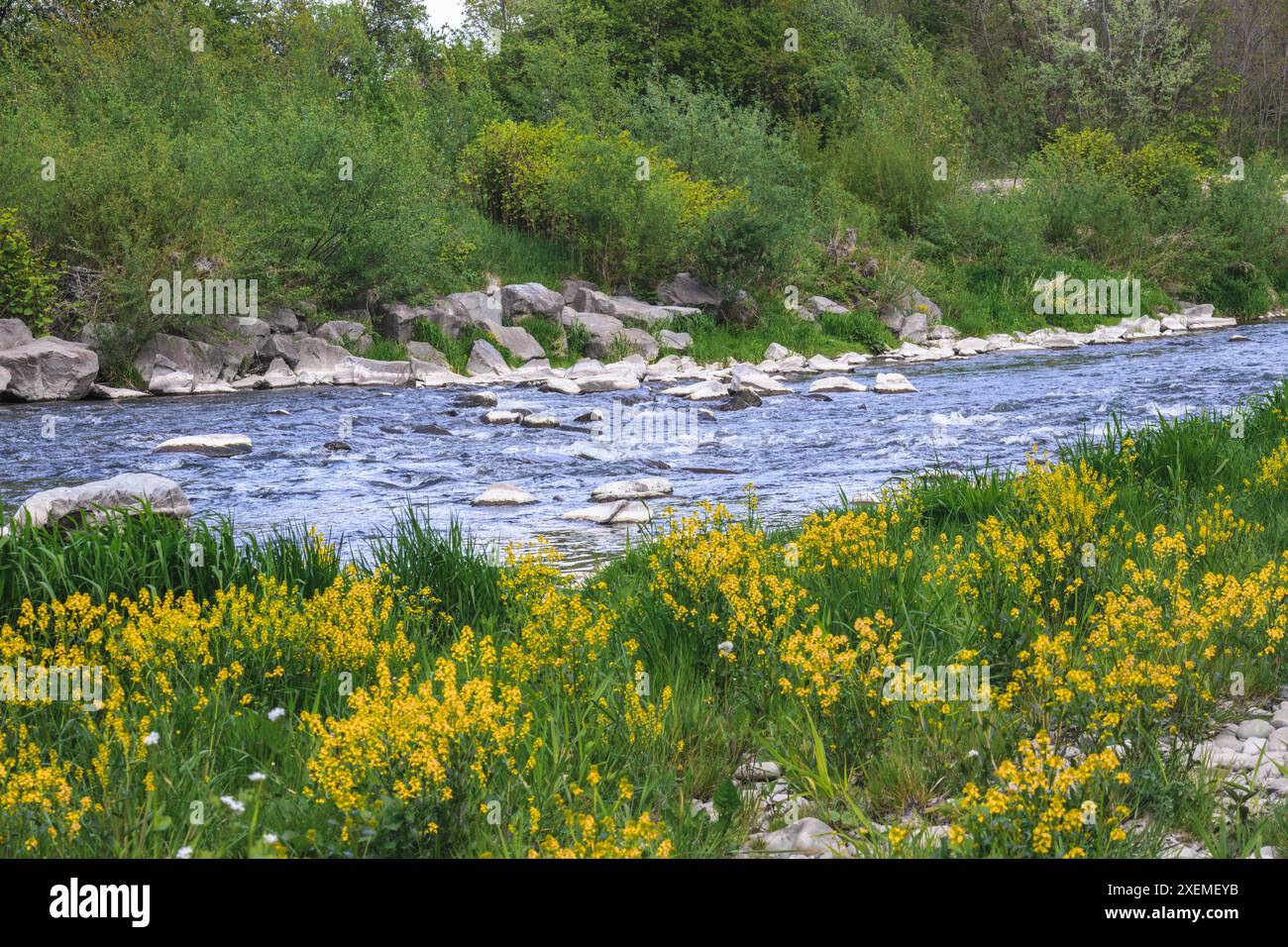 Landscape. A flowing mountain river with rocky banks and beautiful ...