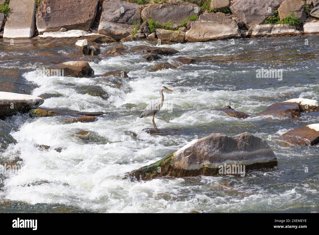 Wave rushing shore day hi-res stock photography and images - Alamy