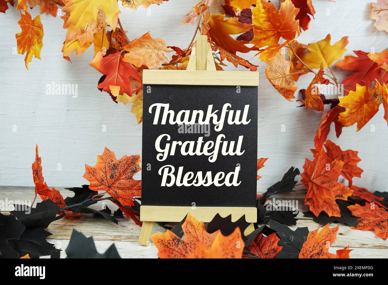 Thankful, grateful and blessed inspirational words with maple leaf ...