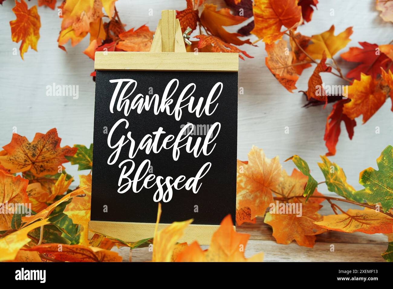 Thankful, grateful and blessed inspirational words with maple leaf ...