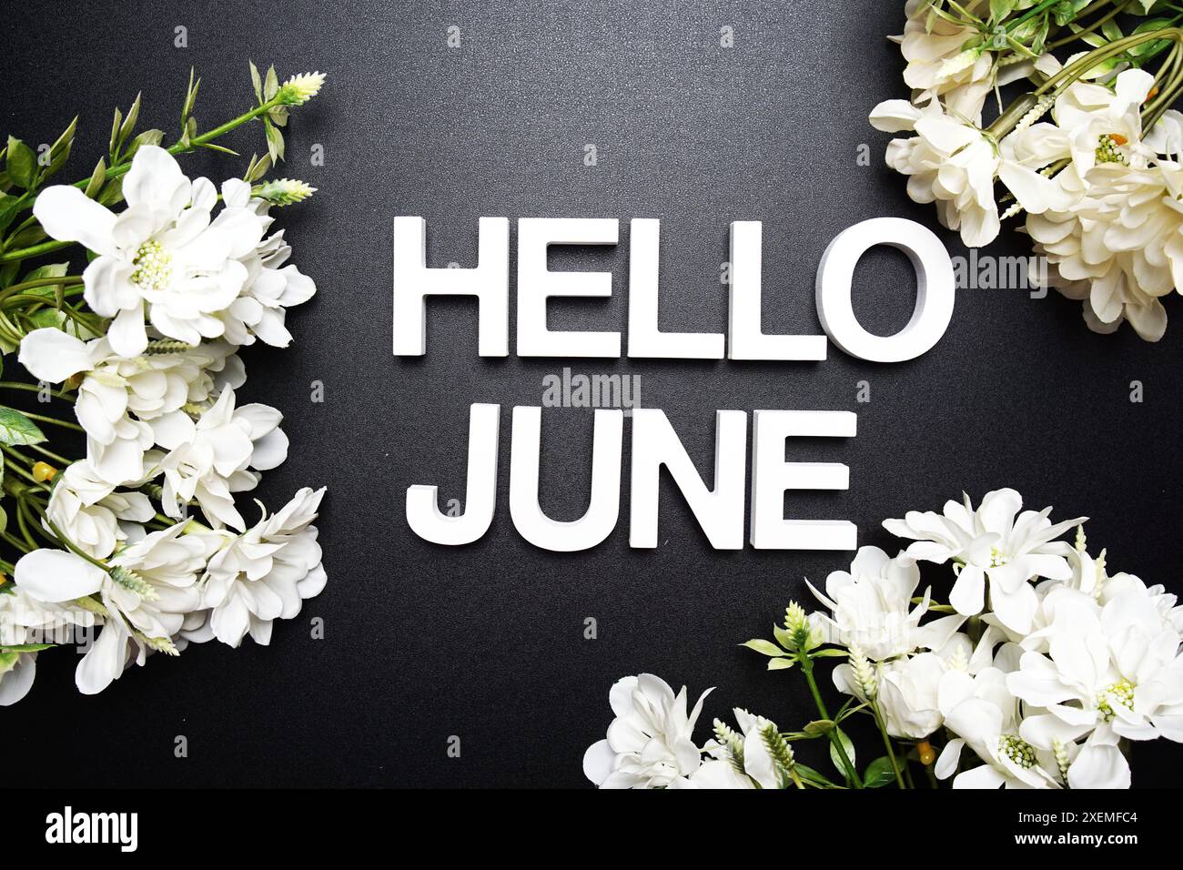 Hello June alphabet letter with flower decoration on black background ...