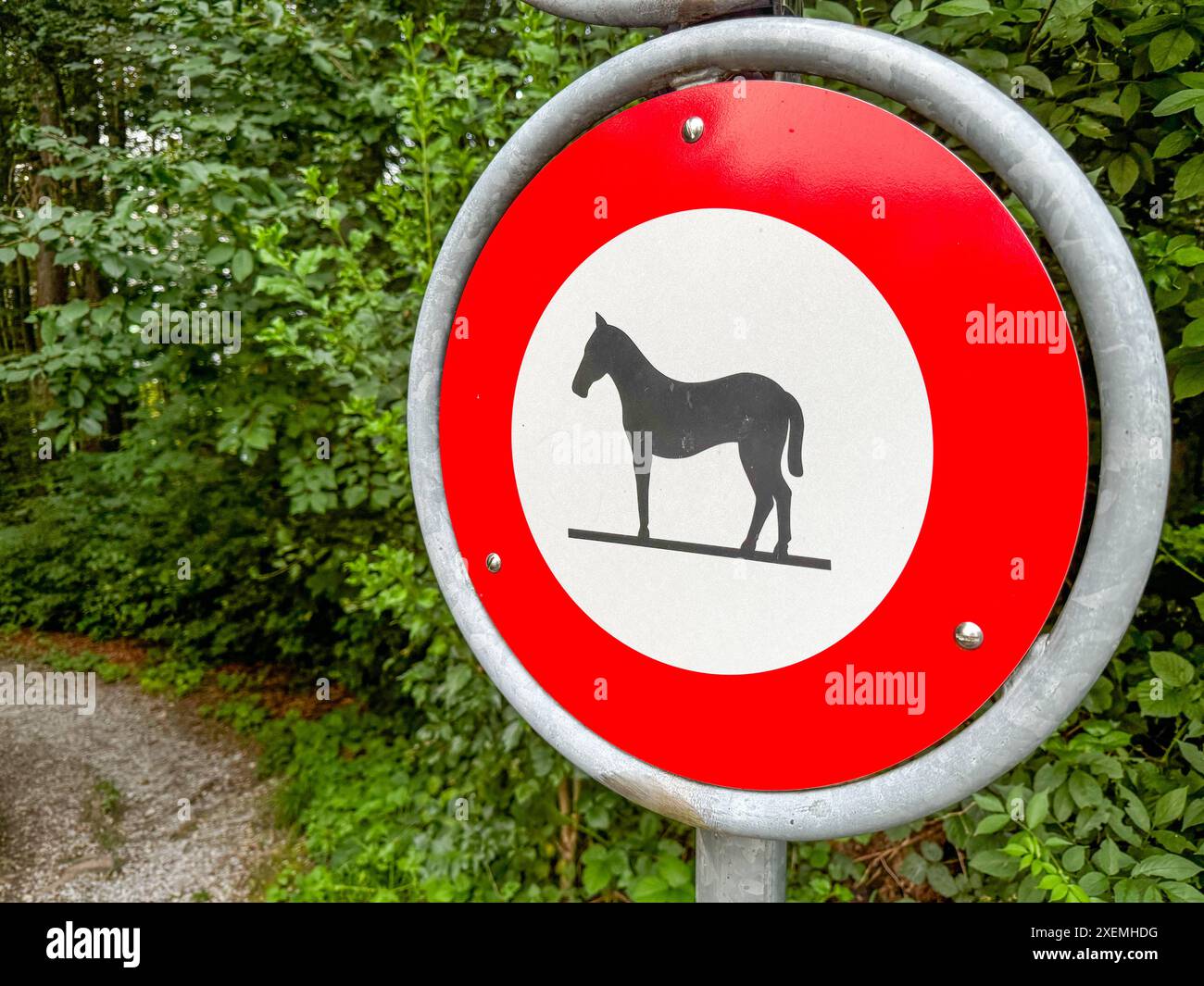 Verbotsschild, Pferd, Reitverbot, rundes Schild, roter Rand, schwarzes ...