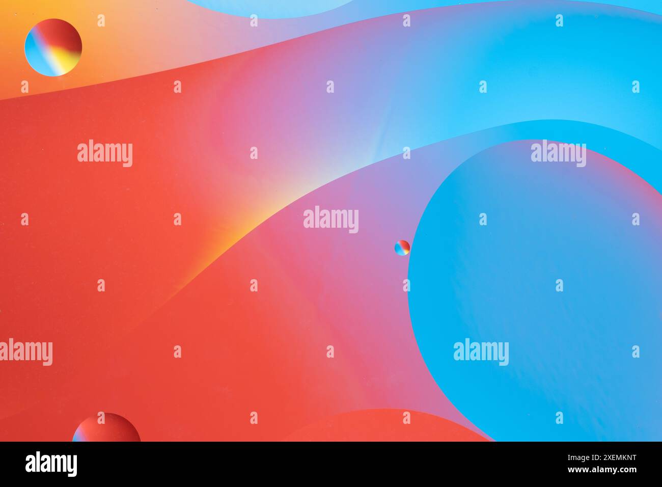 Red and blue abstract design with smooth lines and gradient colors ...