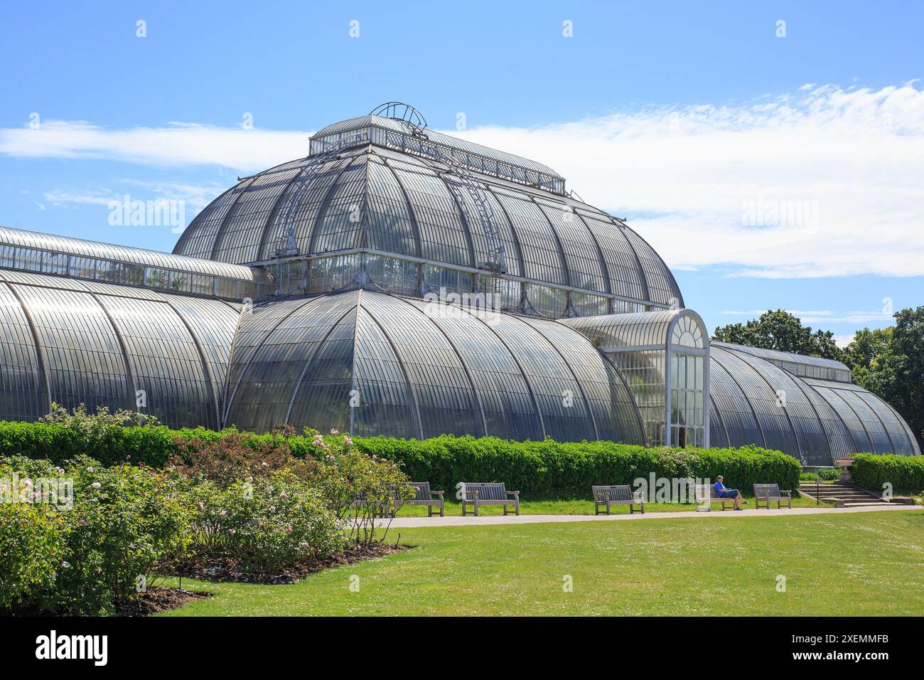 Kew Gardens, 20-06-24. The Palm House specialises in growing palms and ...