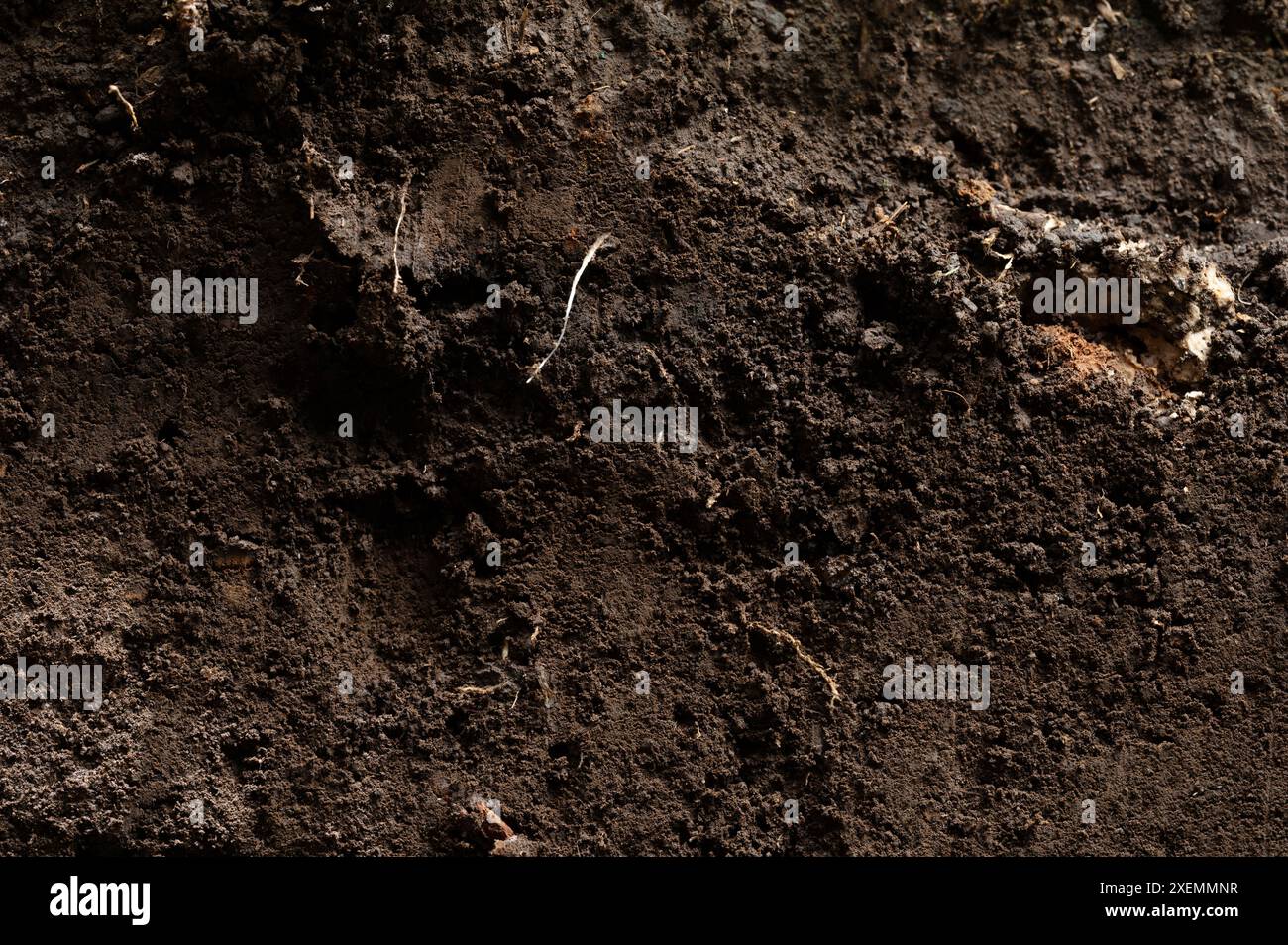 Texture of brown ground cut with root and dirt close up view Stock ...