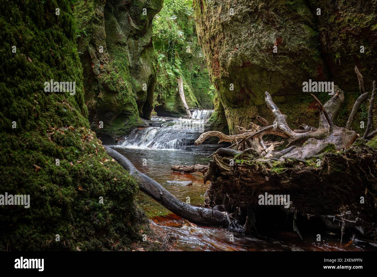 The Devils Pulpit a beautiful gorge in the Scottish landscape close to ...