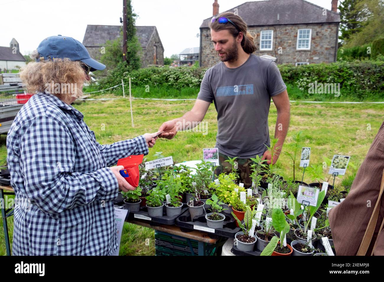 Young man entrepreneur selling plants herbs on nursery plant stall at ...