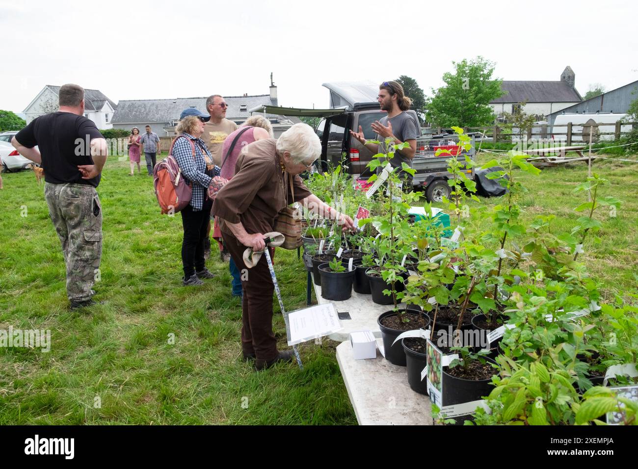 Young man entrepreneur selling plants on his nursery plant stall at ...