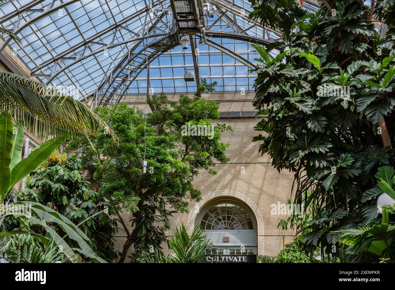 Inside the Conservatory, US Botanic Gardens, Washington DC UJSA Stock ...