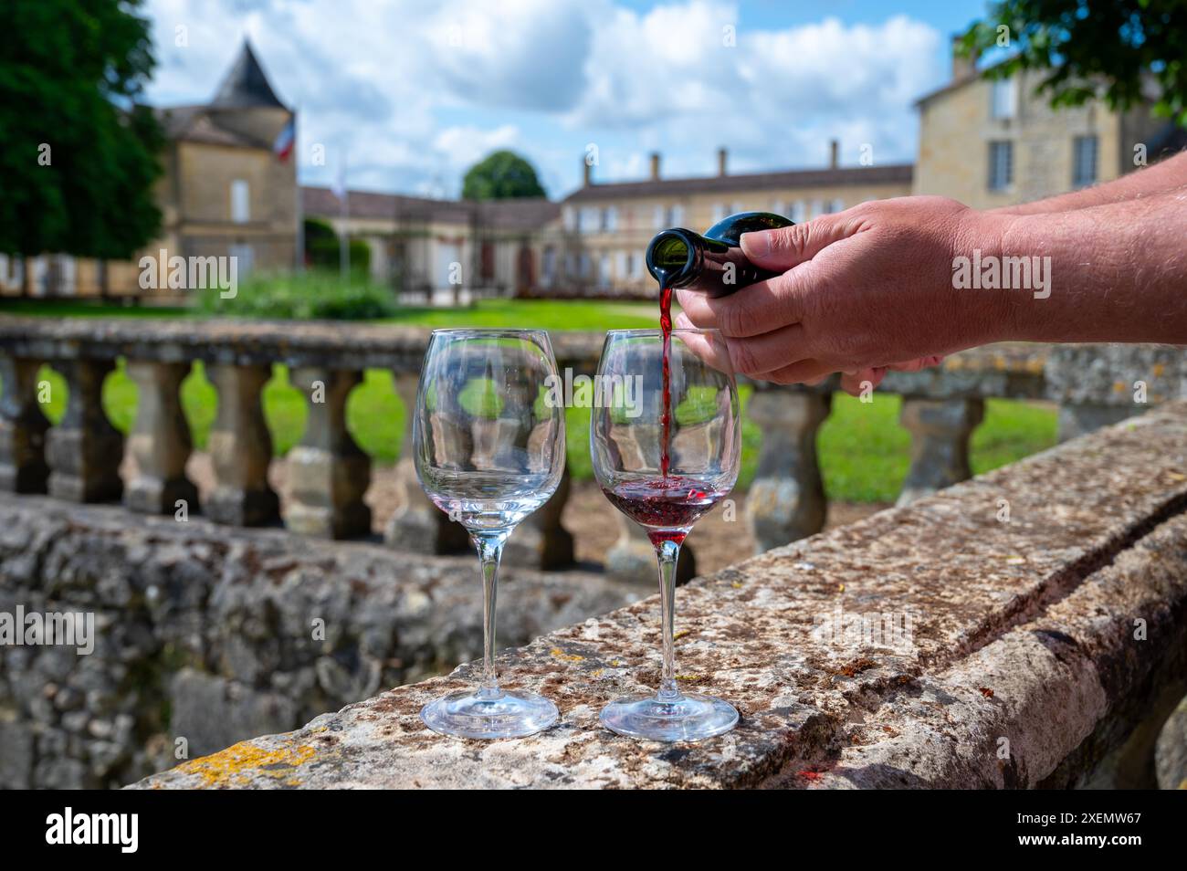 Glasses of french dry red wine in old wine domain on Graves vineyards ...