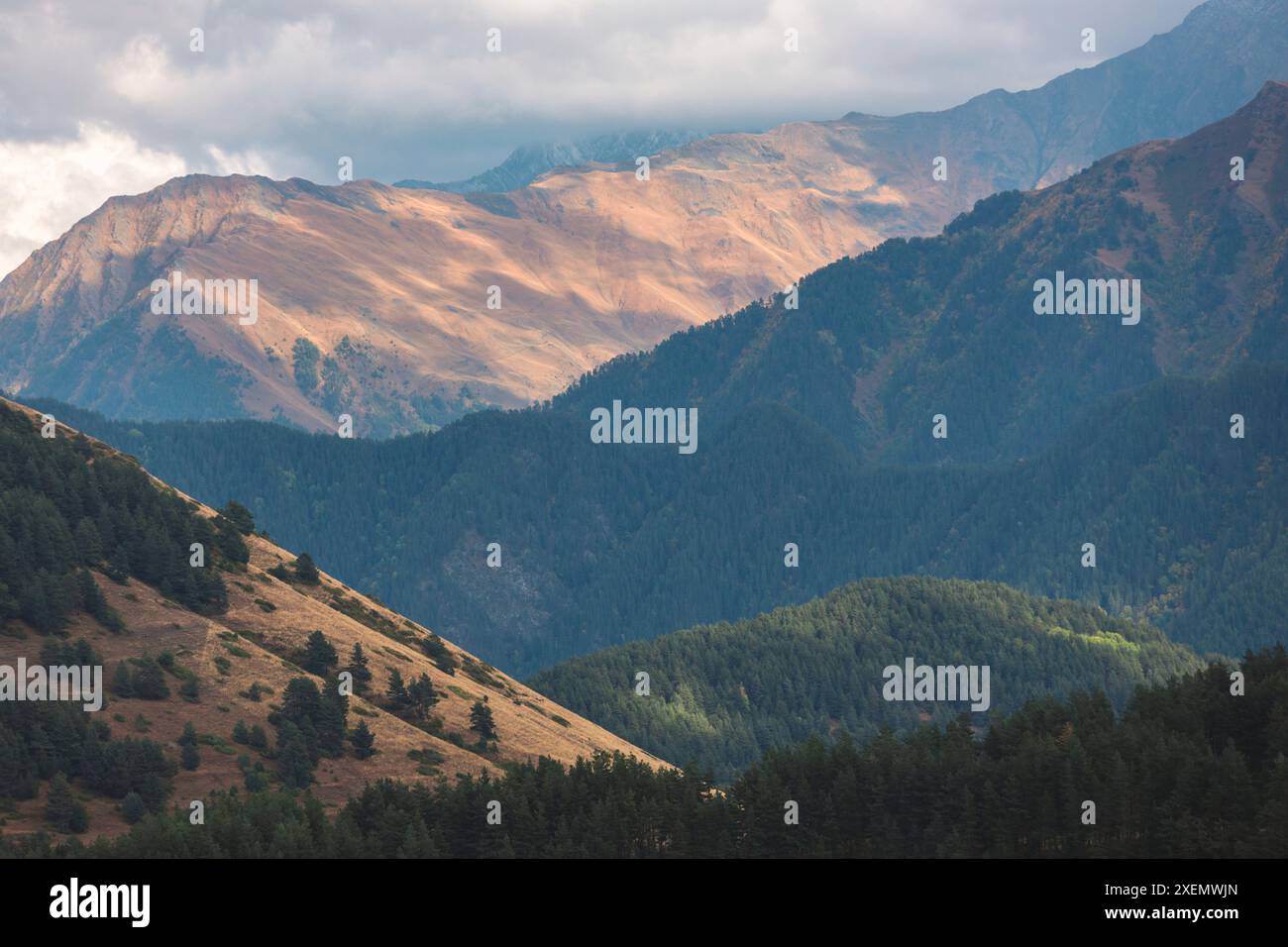 Rugged beauty of the mountains and forests in Tusheti National Park in ...
