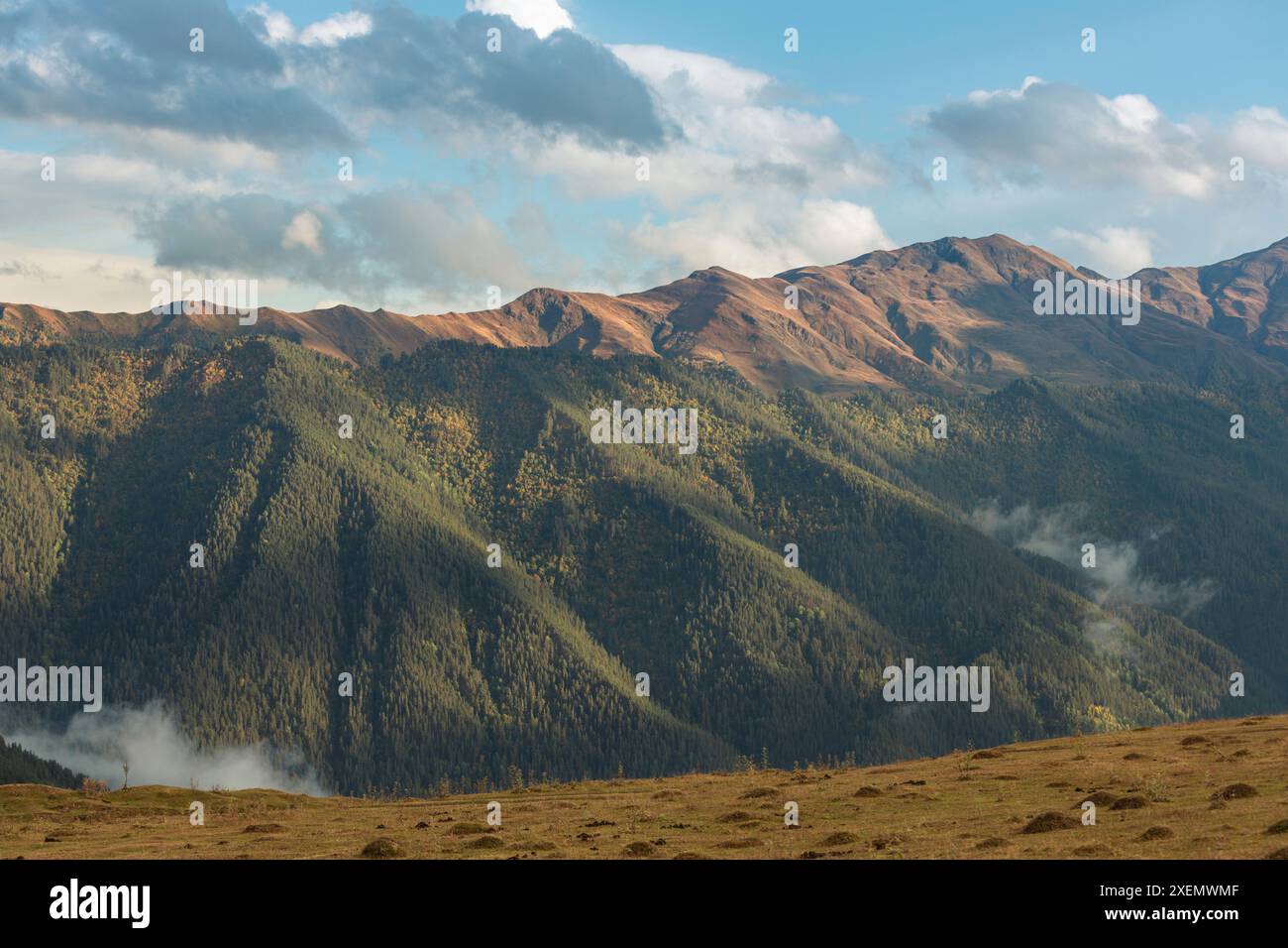 Rugged beauty of the mountains and forests in Tusheti National Park in ...
