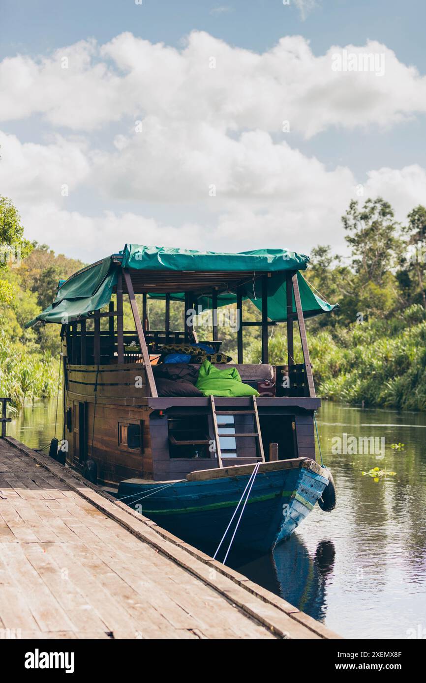 Houseboat in the water along a dock in Tanjung Puting National Park ...
