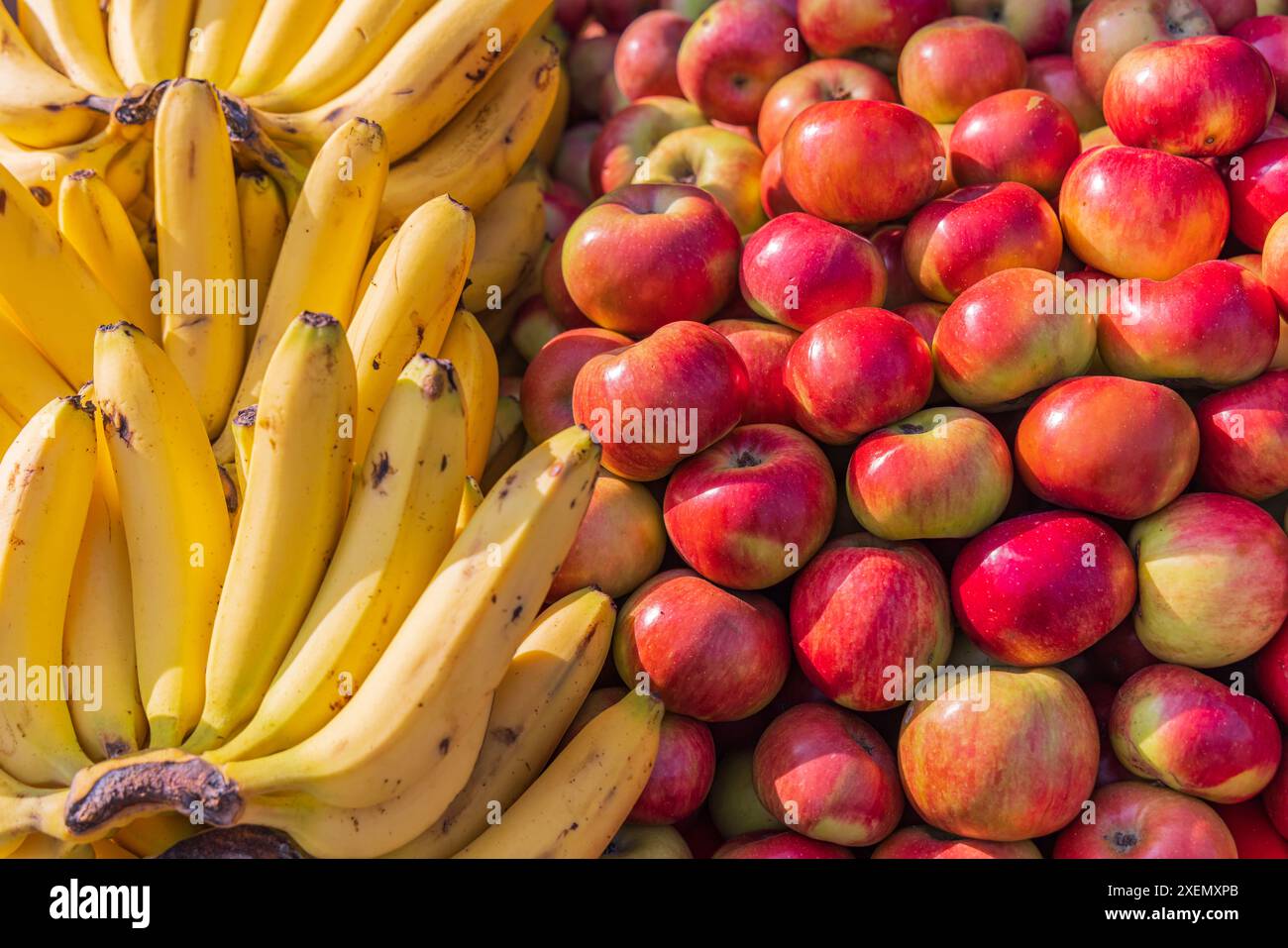 Berna Bugh, Kangan, India. Fresh bananas and apples at a market in a ...