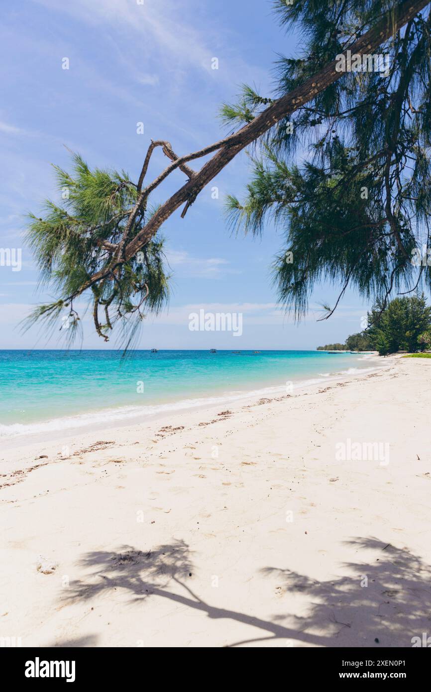 Beautiful scene of a white sand beach and tropical tree along Puru ...
