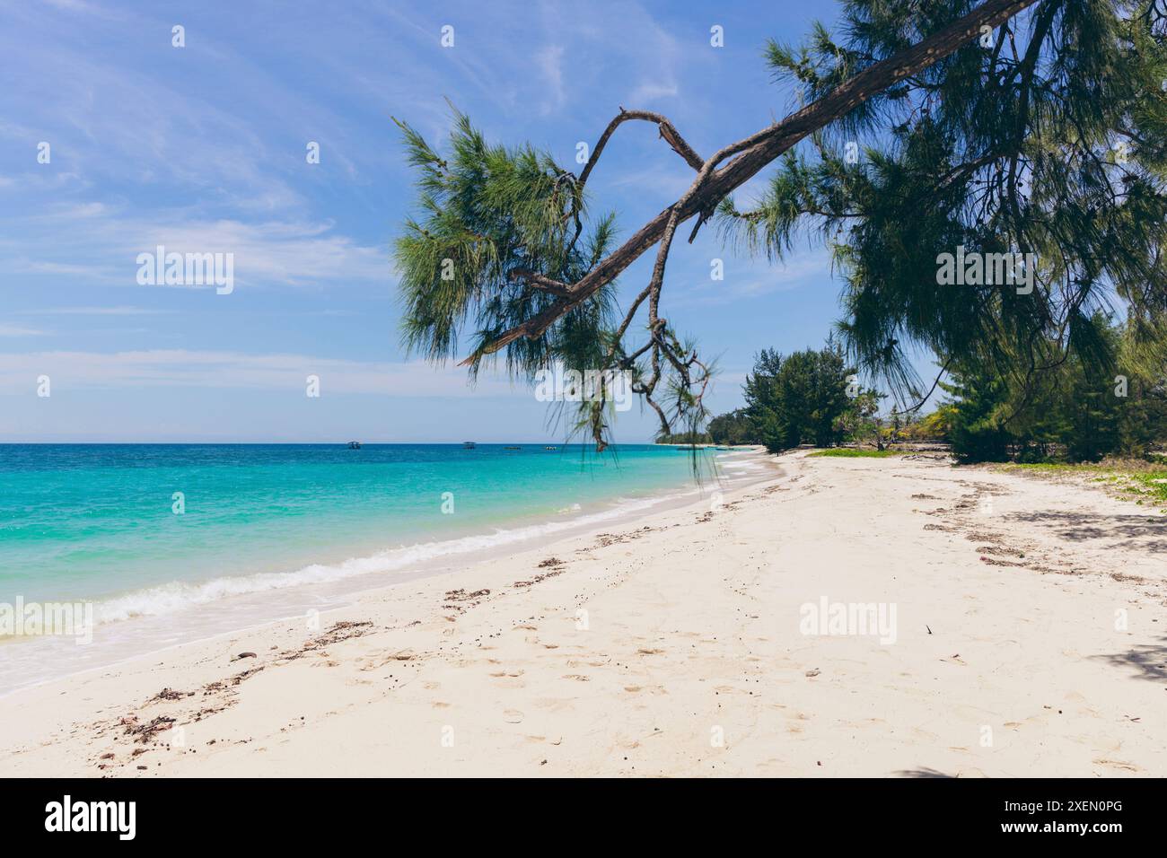 Beautiful scene of a white sand beach and tropical vegetation along ...