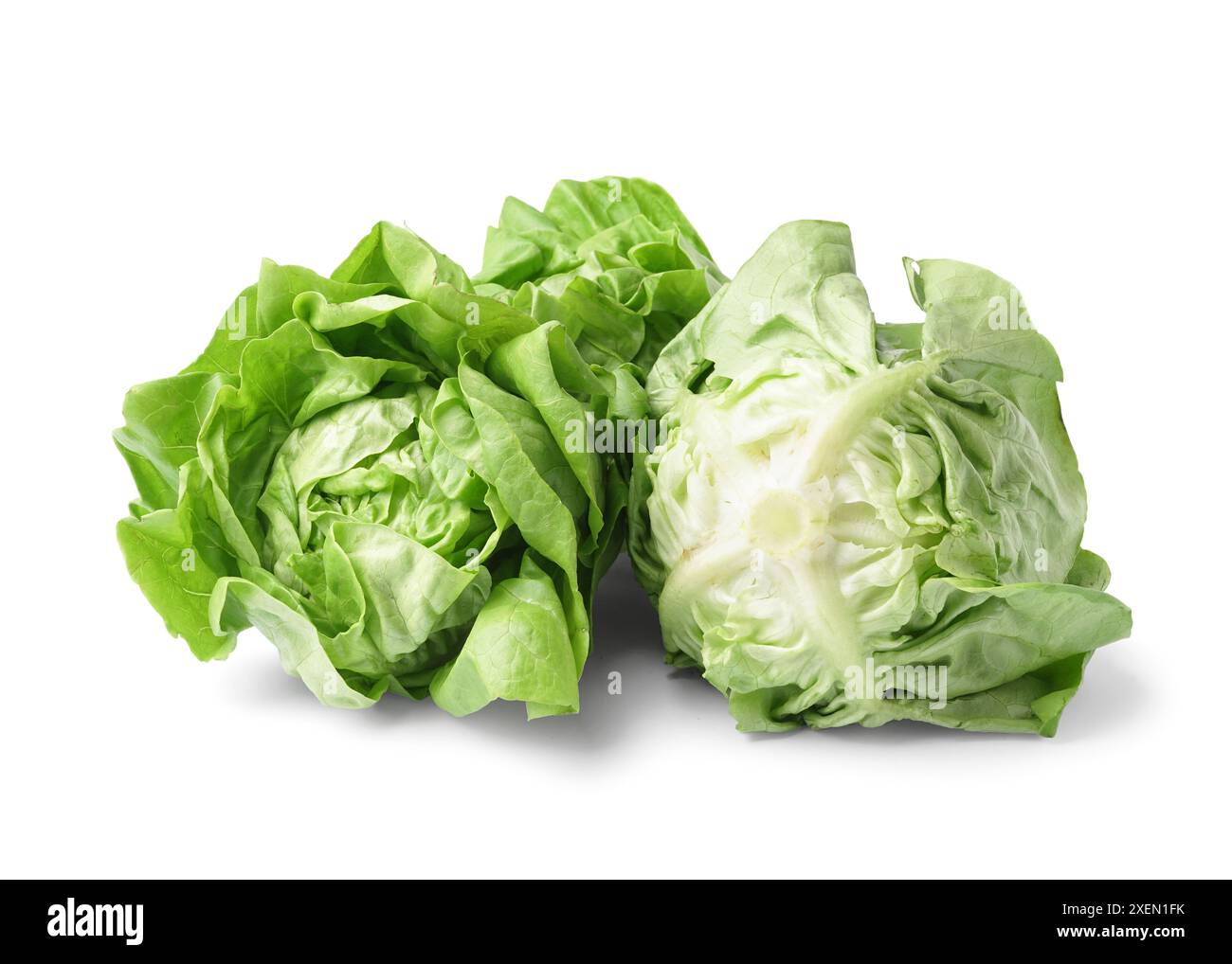 Fresh Boston lettuce on white background Stock Photo - Alamy