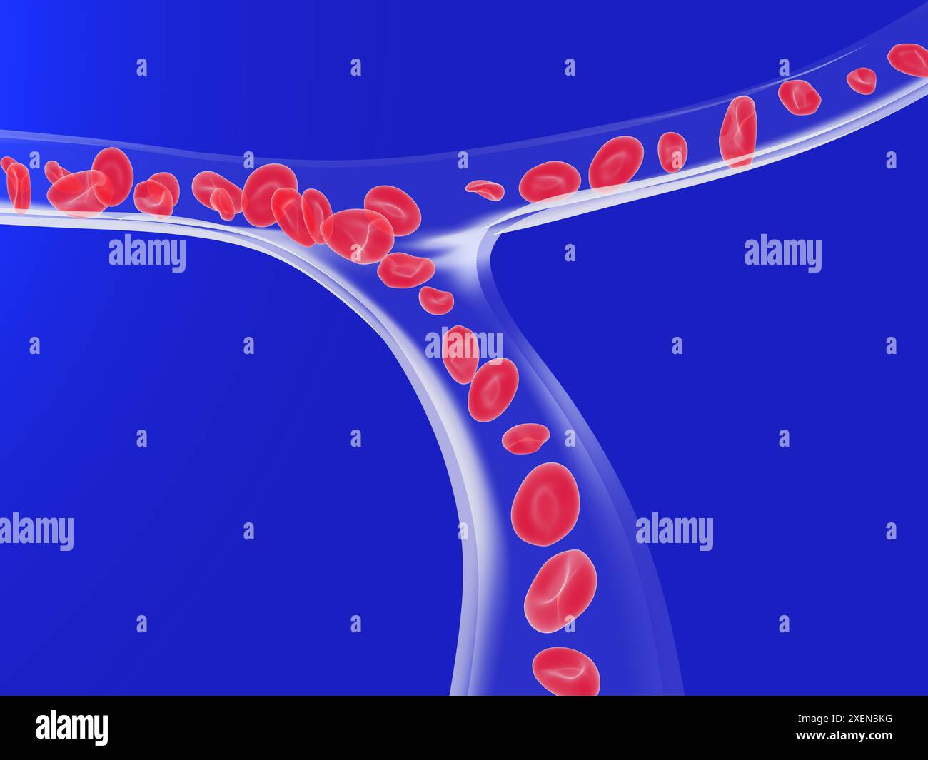 Anatomical 3D illustration of an artery or vein with the movement of ...