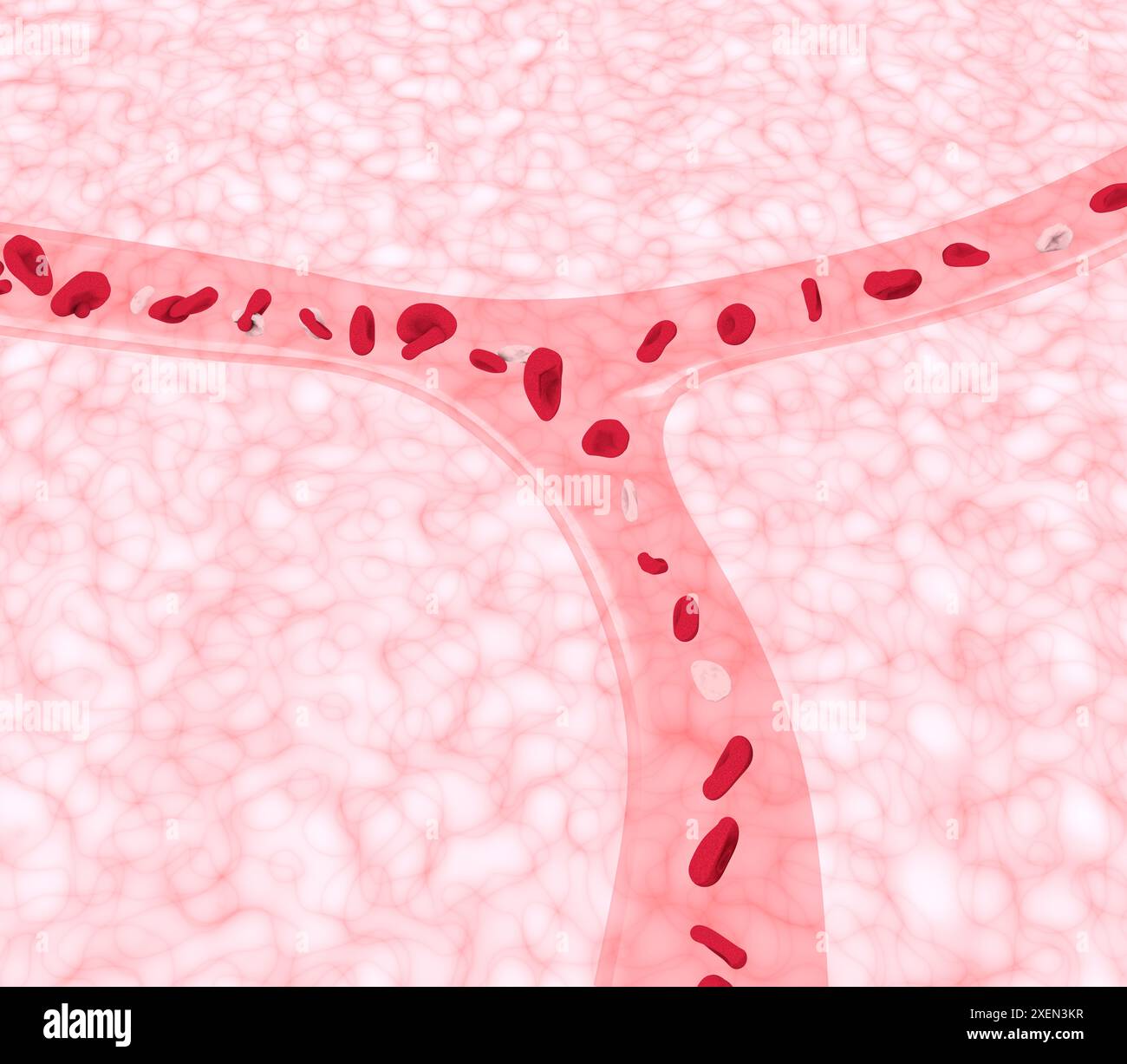 illustration 3D animation of an artery or vein with the movement of red ...